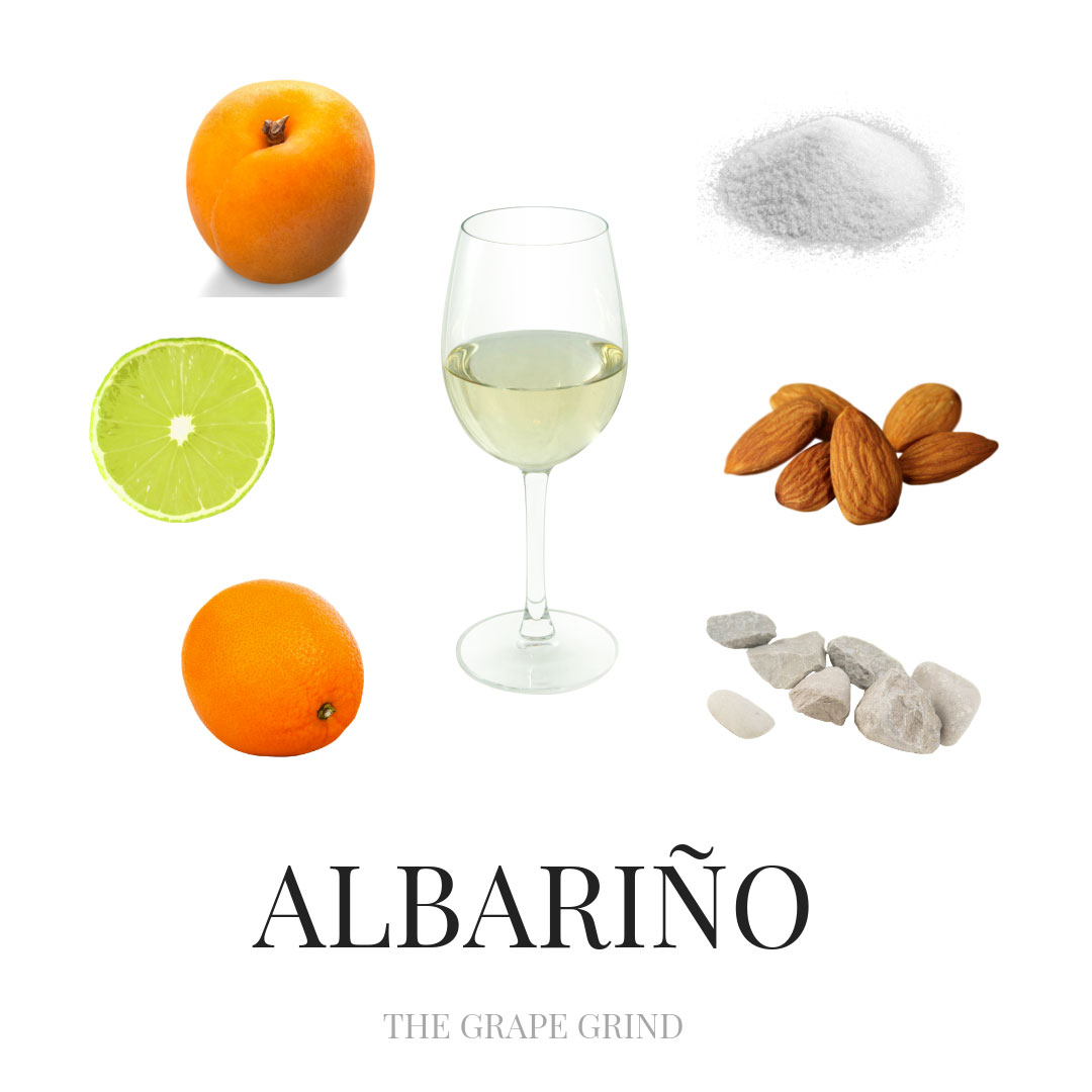 All you need to know about Garganega: A quick guide - The Grape Grind