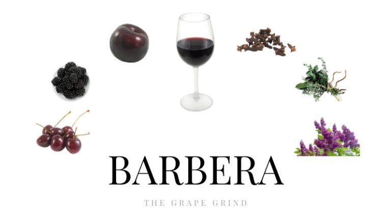 All you need to know about Barbera: A quick guide - The Grape Grind
