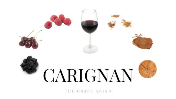 All you need to know about Carignan: A quick guide - The Grape Grind
