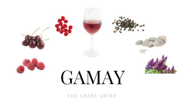 All you need to know about Gamay: A quick guide - The Grape Grind