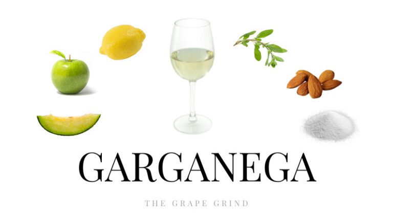 All you need to know about Garganega: A quick guide - The Grape Grind