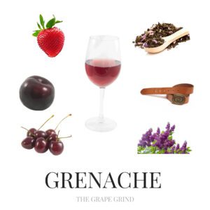 All you need to know about Pinot Noir: A quick guide - The Grape Grind
