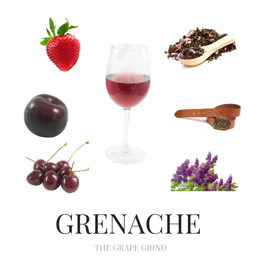 All you need to know about Gamay: A quick guide - The Grape Grind