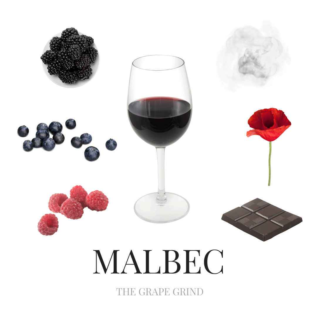 All you need to know about Syrah/Shiraz: A quick guide - The Grape Grind