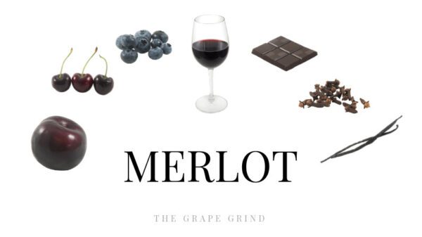 All you need to know about Merlot: A quick guide - The Grape Grind