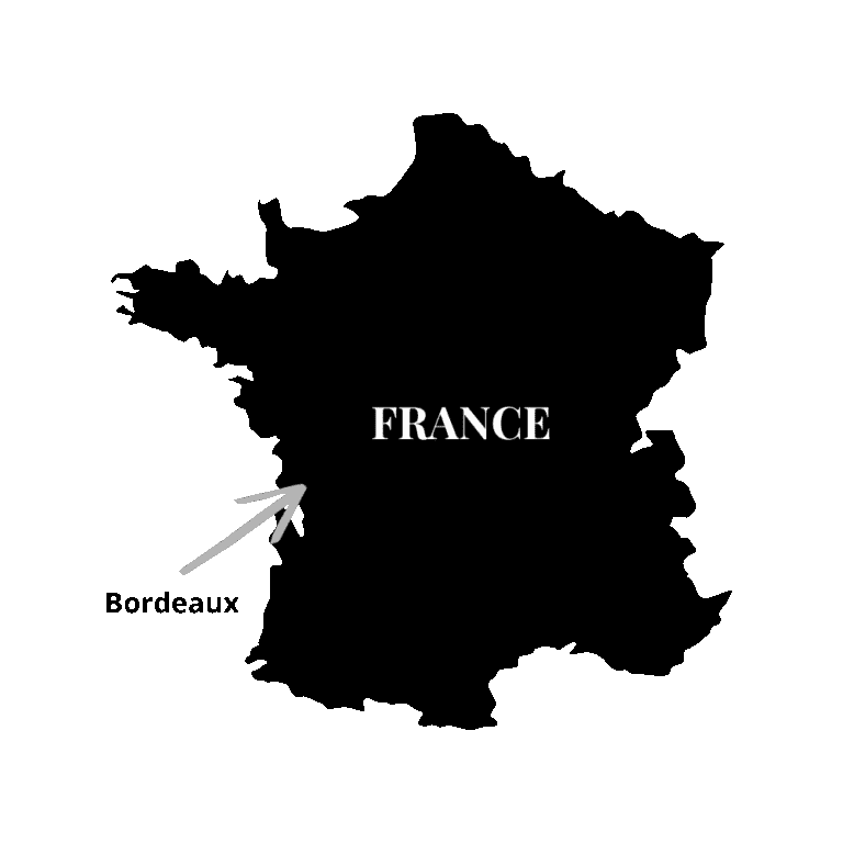 All you need to know about Merlot: A quick guide - The Grape Grind