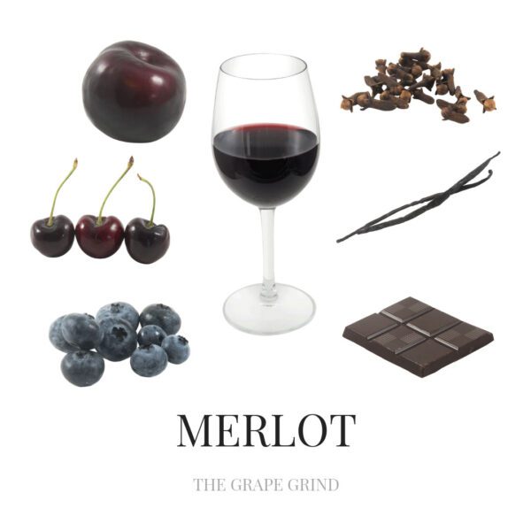 All you need to know about Barbera: A quick guide - The Grape Grind