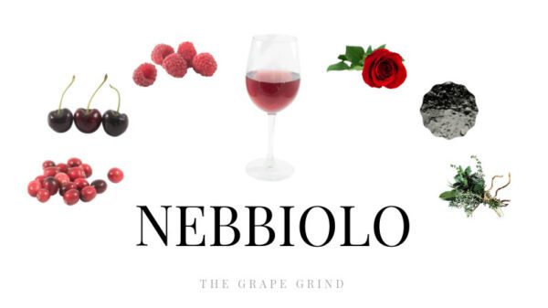 All you need to know about Nebbiolo: A quick guide - The Grape Grind