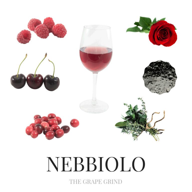 All you need to know about Sangiovese: A quick guide - The Grape Grind
