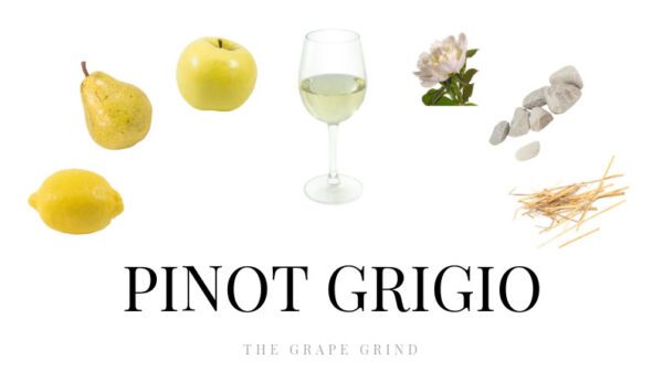 All you need to know about Pinot Grigio: A quick guide - The Grape Grind