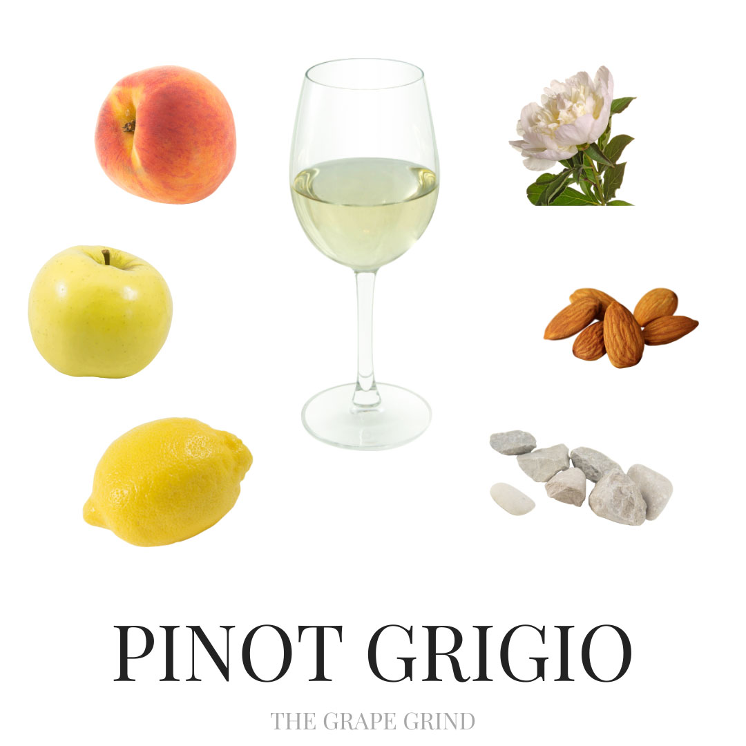 All you need to know about Garganega: A quick guide - The Grape Grind