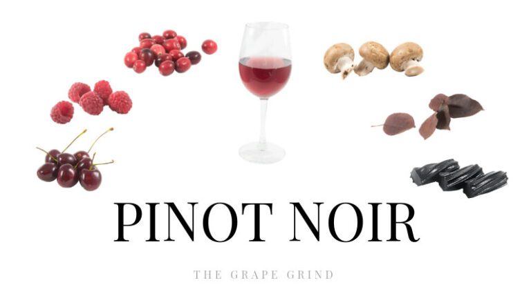 All you need to know about Pinot Noir: A quick guide - The Grape Grind