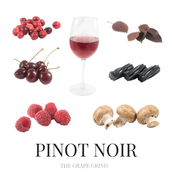All you need to know about Sangiovese: A quick guide - The Grape Grind