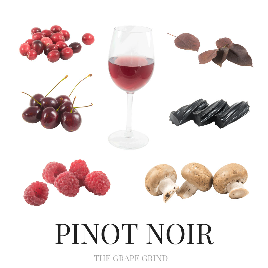 All you need to know about Pinot Meunier: A quick guide - The Grape Grind