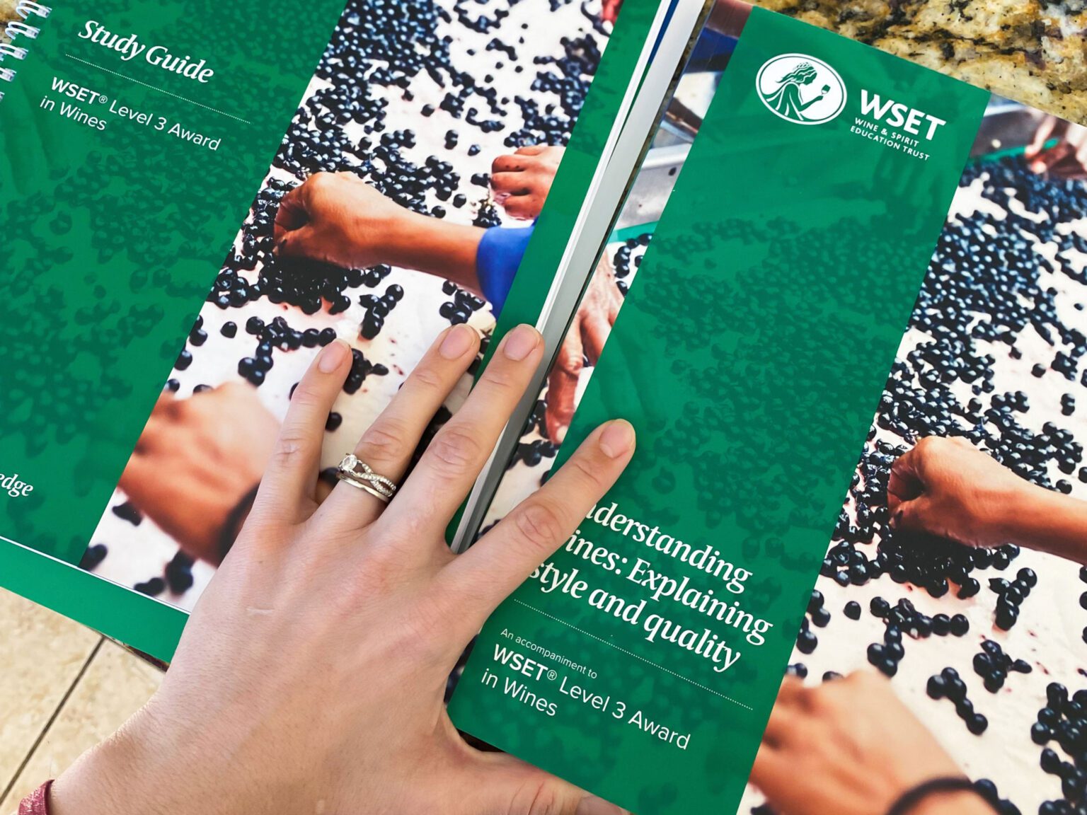 Preparing for WSET 3: What it’s like and tips for study! - The Grape Grind