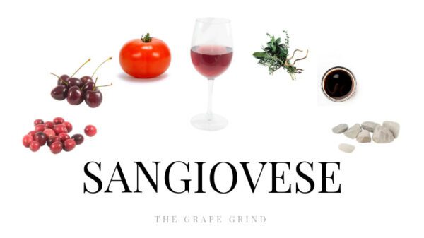 All you need to know about Sangiovese: A quick guide - The Grape Grind