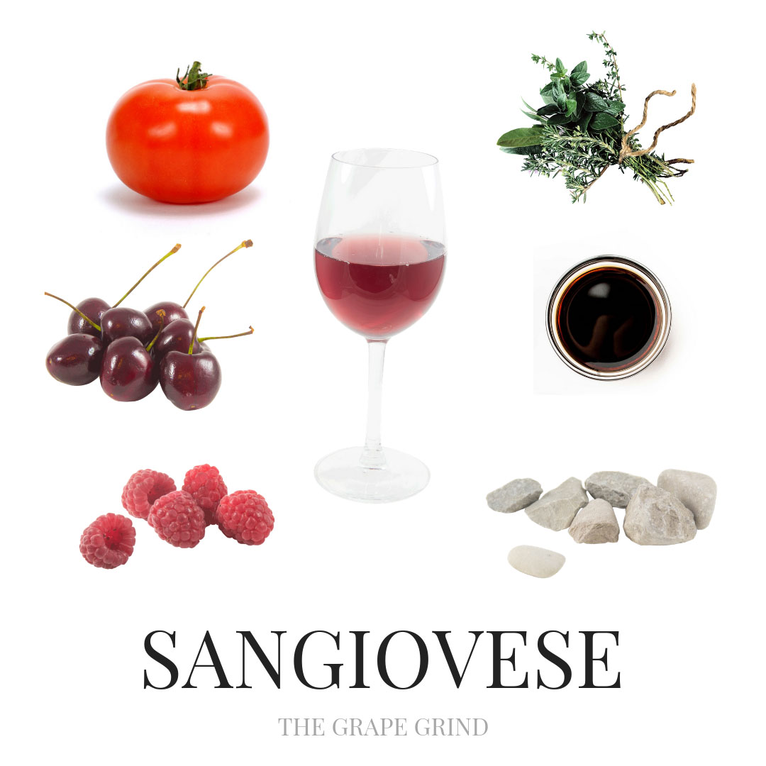 All you need to know about Tempranillo: A quick guide - The Grape Grind