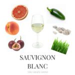 All you need to know about Garganega: A quick guide - The Grape Grind