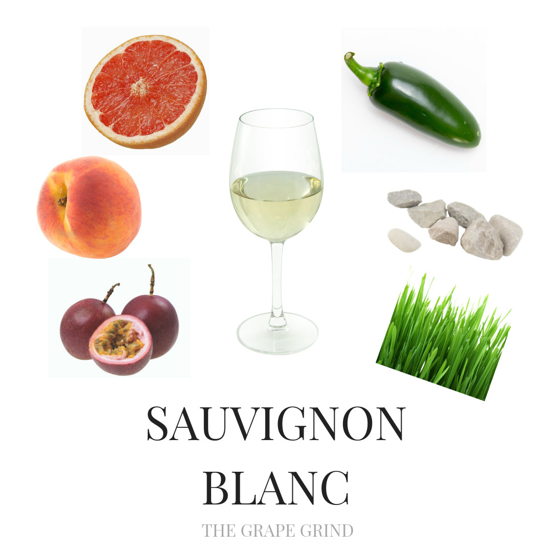 All you need to know about Garganega: A quick guide - The Grape Grind
