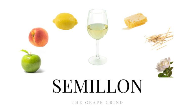 All you need to know about Semillon: A quick guide - The Grape Grind