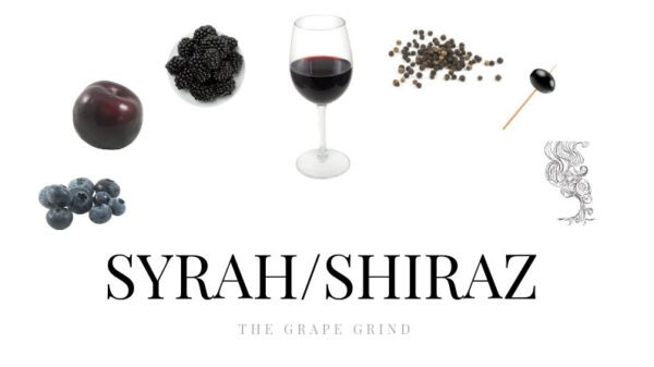 All you need to know about Syrah/Shiraz: A quick guide - The Grape Grind