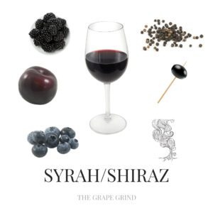 All you need to know about Cabernet Sauvignon: A quick guide - The ...