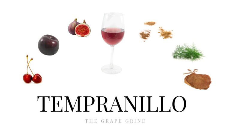All you need to know about Tempranillo: A quick guide - The Grape Grind
