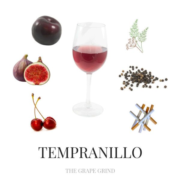 All you need to know about Grenache: A quick guide - The Grape Grind