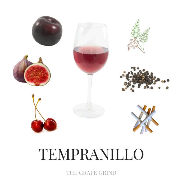 All you need to know about Nebbiolo: A quick guide - The Grape Grind