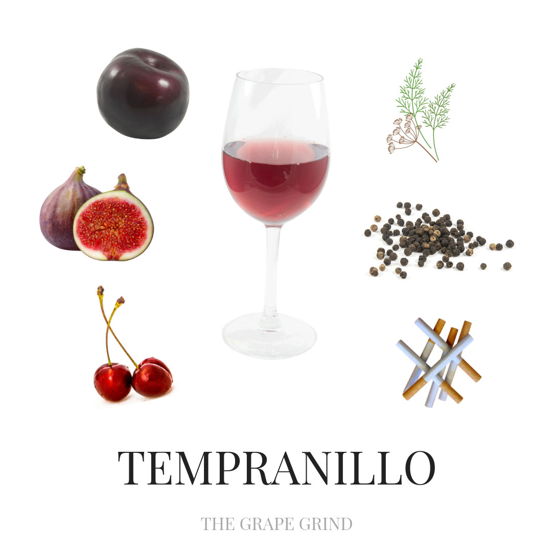 All you need to know about Carignan: A quick guide - The Grape Grind