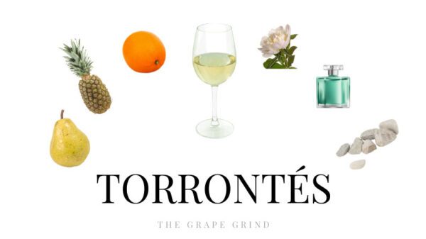 All you need to know about Torrontés: A quick guide - The Grape Grind