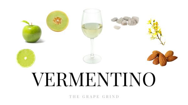 All you need to know about Vermentino: A quick guide - The Grape Grind