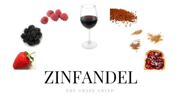 All you need to know about Zinfandel: A quick guide - The Grape Grind