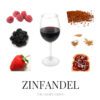 All you need to know about Syrah/Shiraz: A quick guide - The Grape Grind