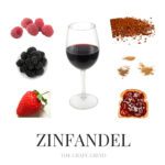All you need to know about Syrah/Shiraz: A quick guide - The Grape Grind
