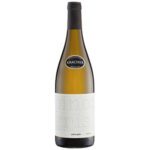 All you need to know about Pinot Grigio: A quick guide - The Grape Grind