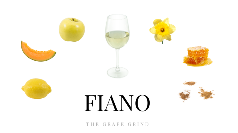 All you need to know about Fiano: A quick guide