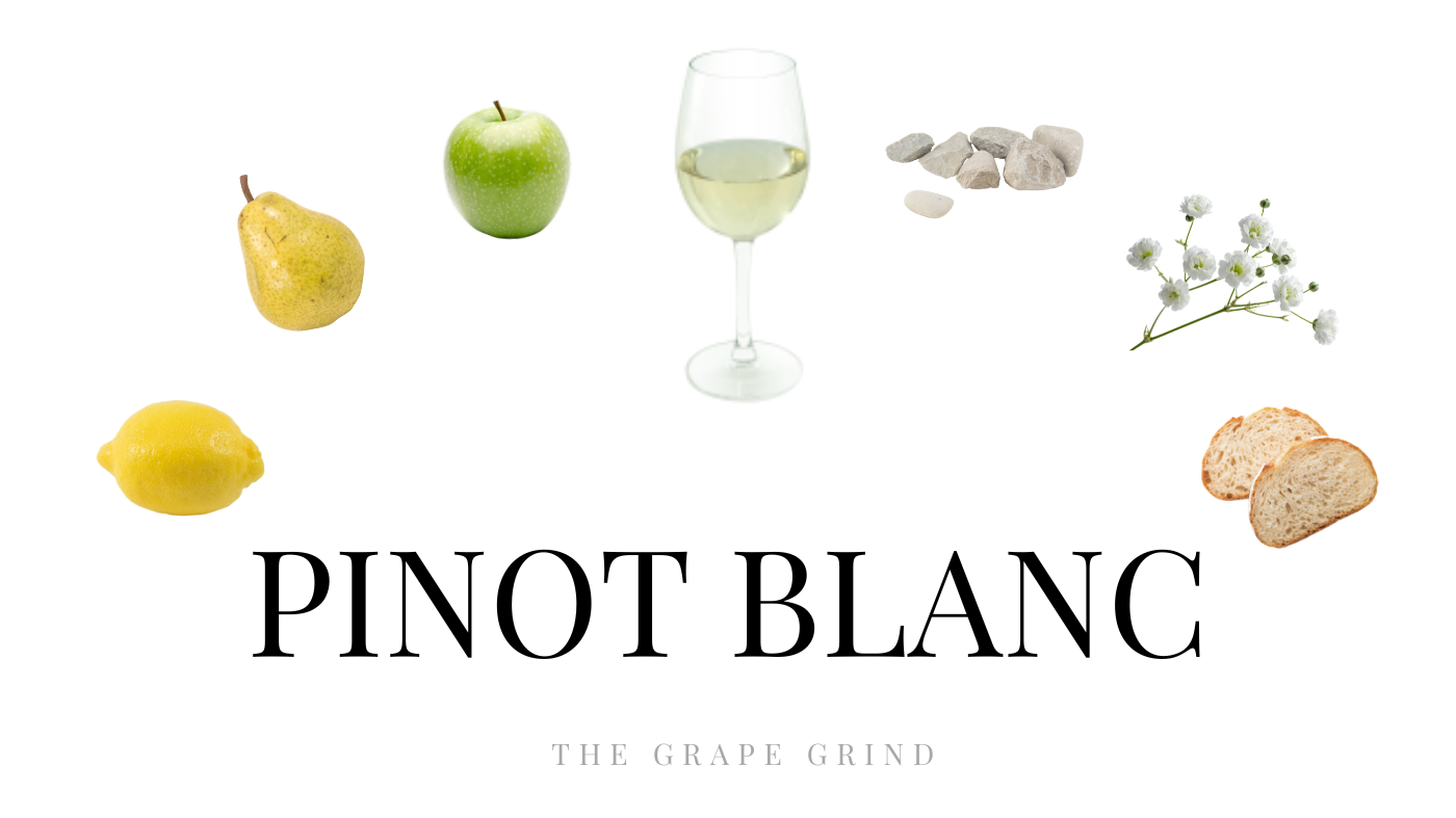 All you need to know about Pinot Blanc: A quick guide